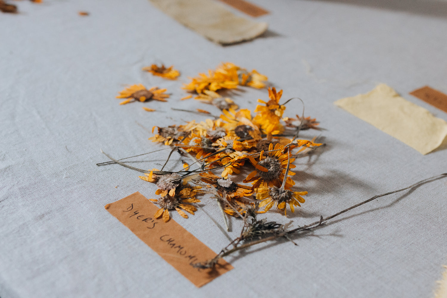 Modh | Irish Naturally Dyed Textiles