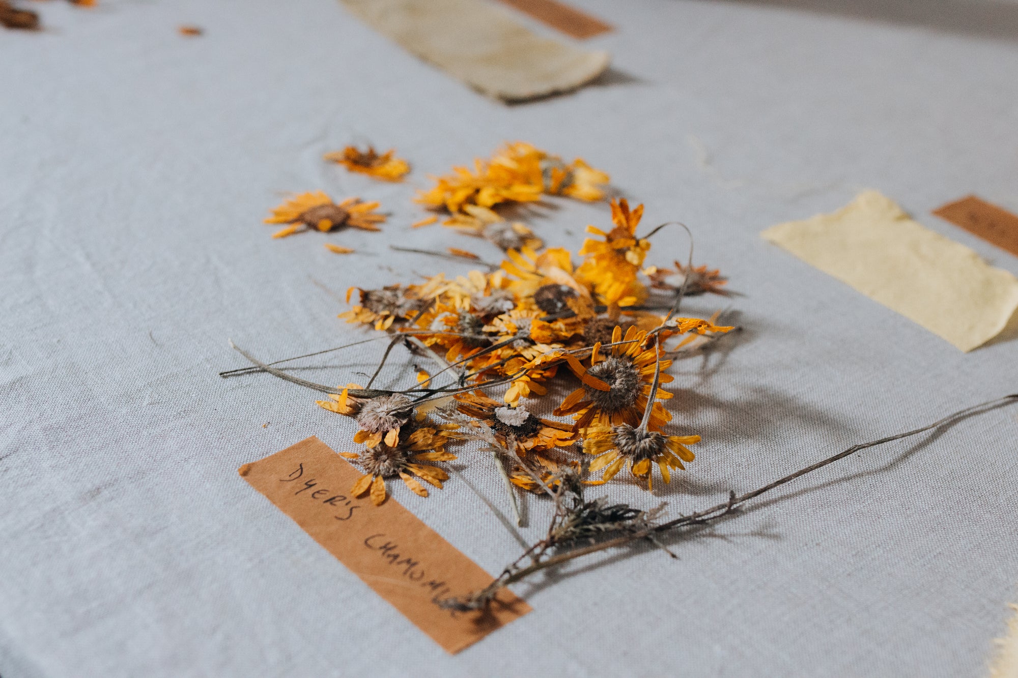 Modh | Irish Naturally Dyed Textiles